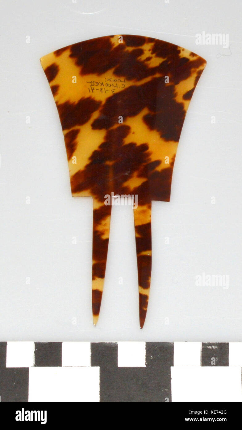 Tortoise Shell Hair Comb Stock Photo - Alamy