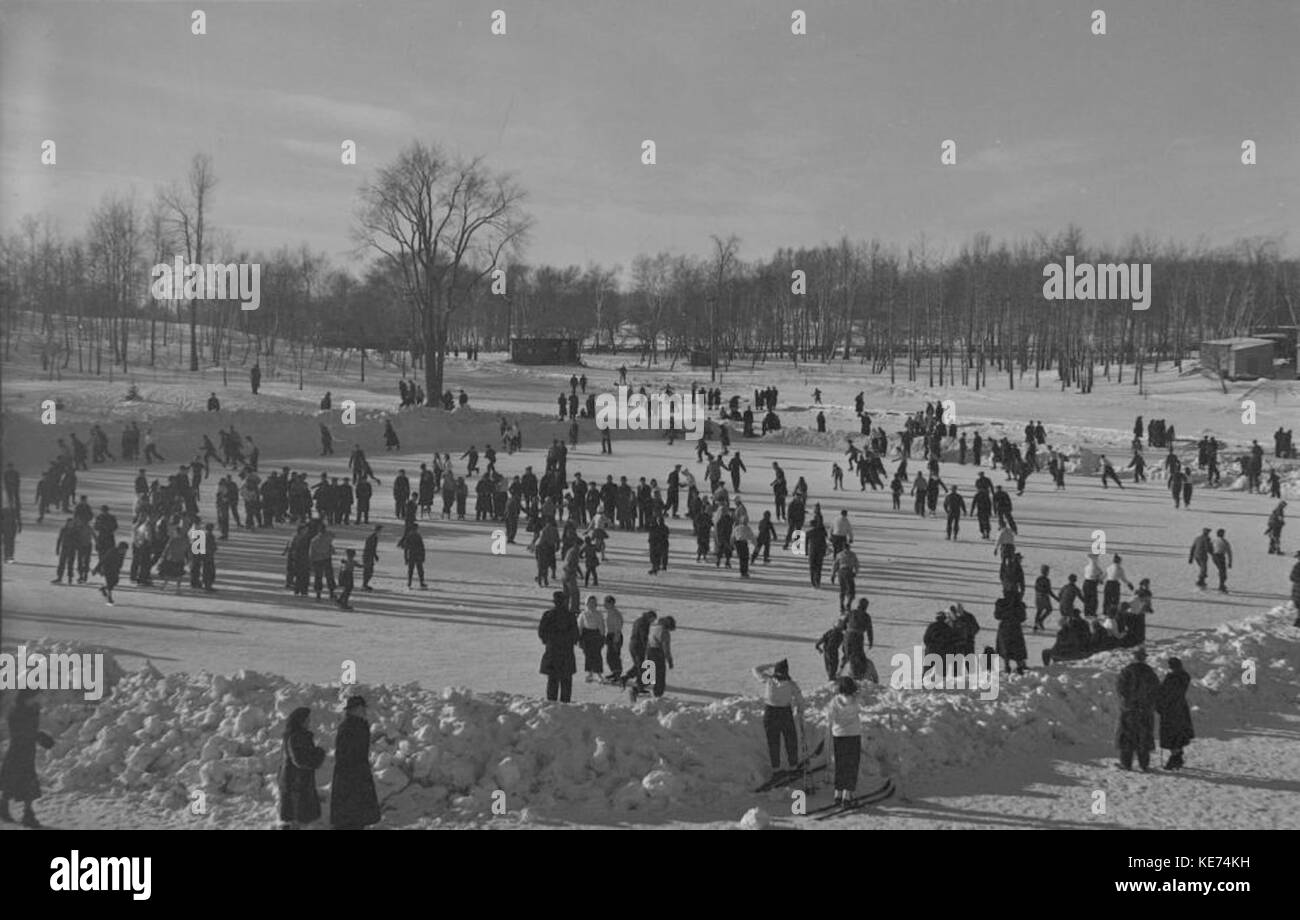 Beaver snow Black and White Stock Photos & Images - Alamy
