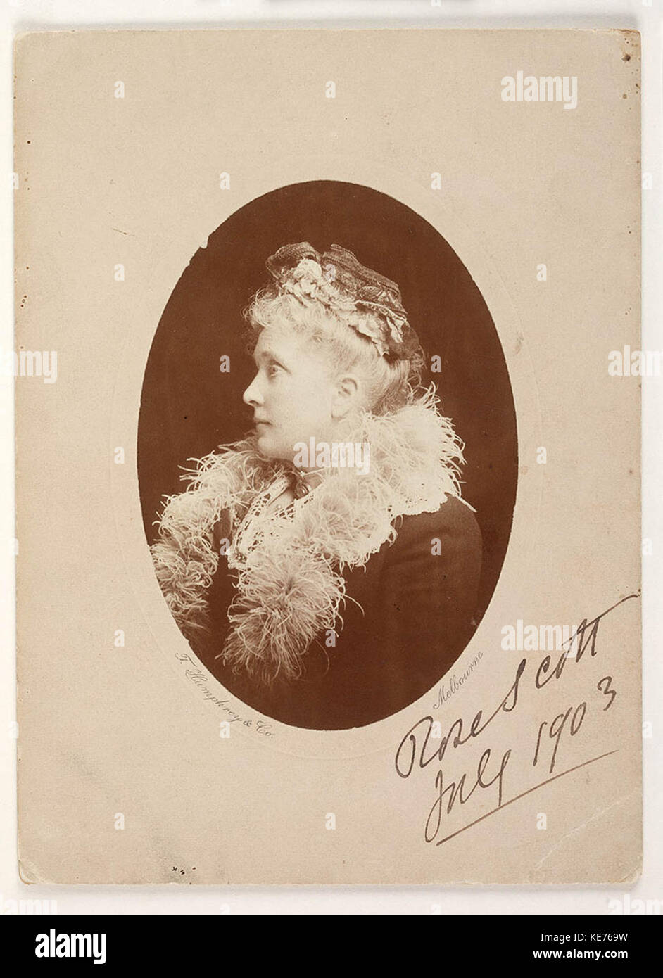 Rose scott hi-res stock photography and images - Alamy