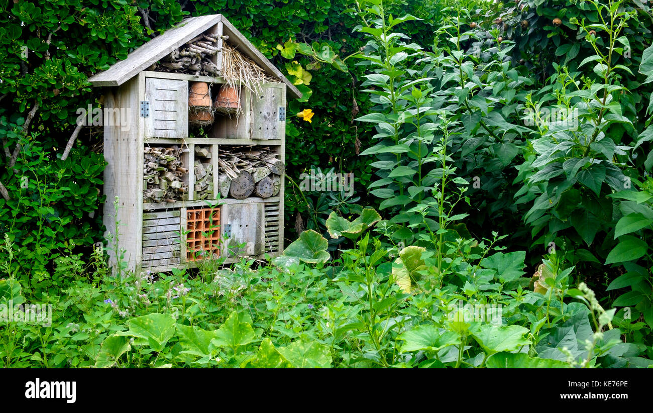 Bug House Stock Photos & Bug House Stock Images - Alamy
