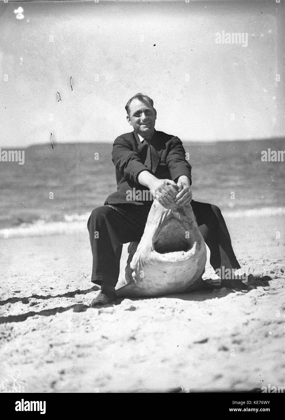 Jaws shark attack Black and White Stock Photos & Images - Alamy