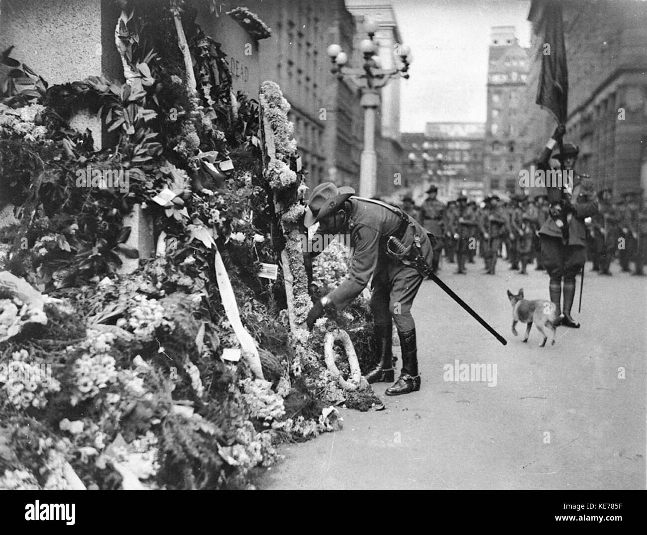 7375 CMF Colonel laying wreath on Cenotaph stray dog Stock Photo - Alamy