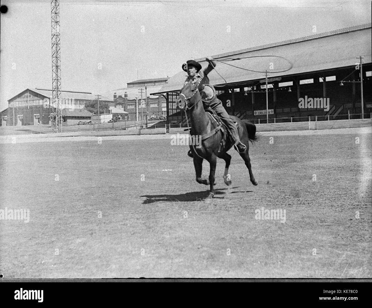 14426 Cowboy practising with lasso Stock Photo - Alamy
