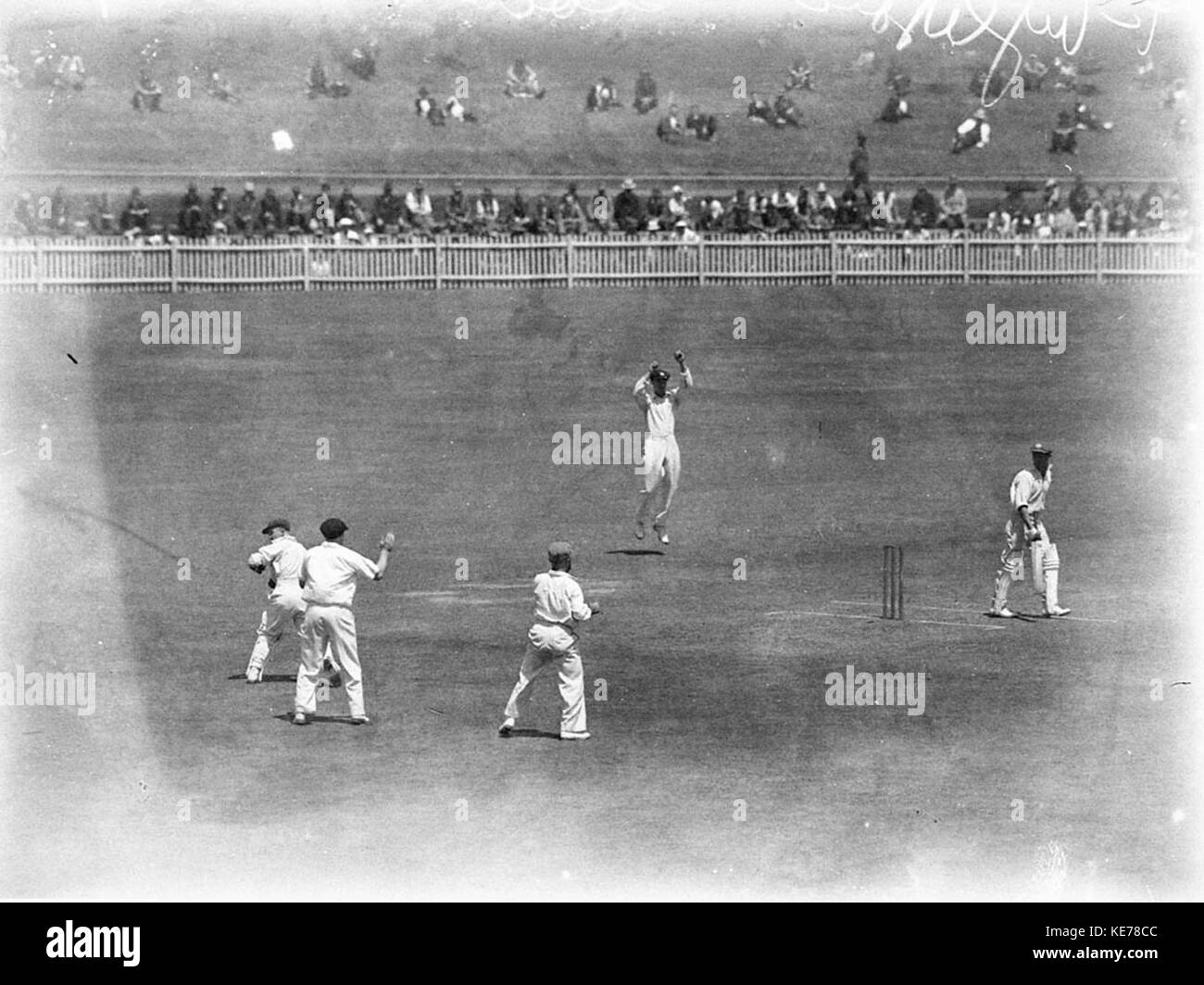 8418 Cricket at the Sydney Cricket Ground an appeal for out Stock Photo ...