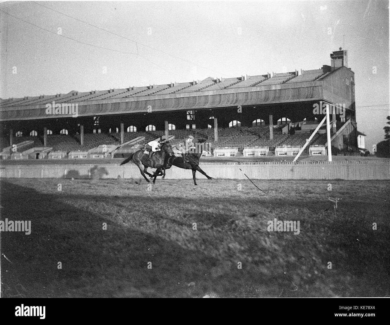 7255 Early morning gallops training at Randwick Racecourse Stock Photo ...
