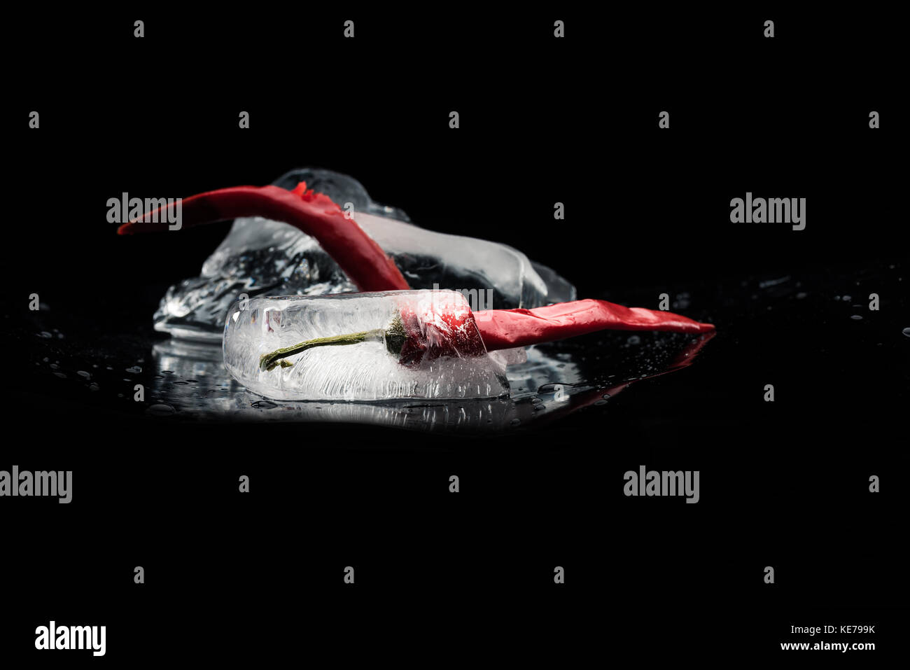 Red chilli peppers in ice hi-res stock photography and images - Alamy