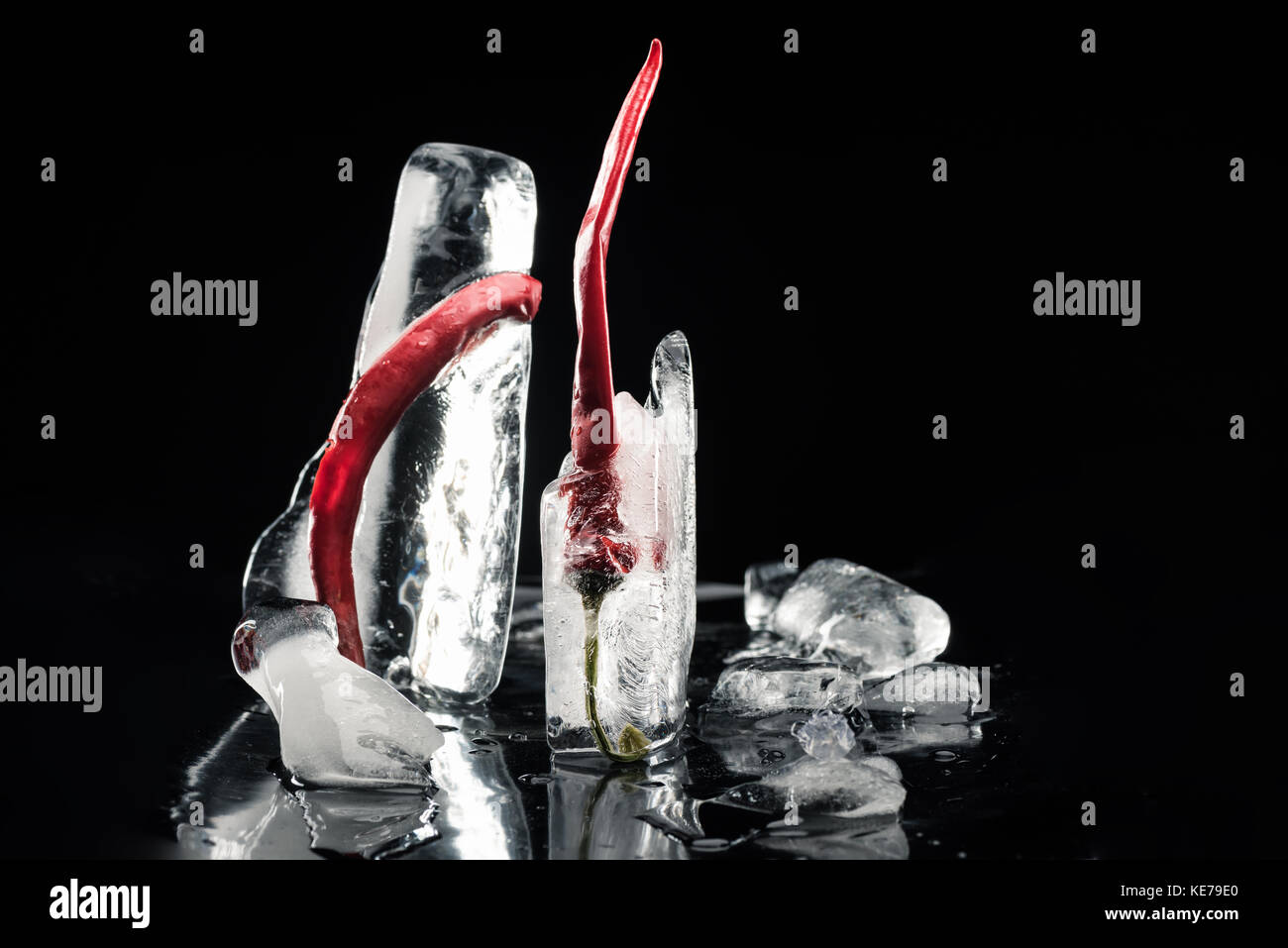 chili peppers in melting ice Stock Photo - Alamy