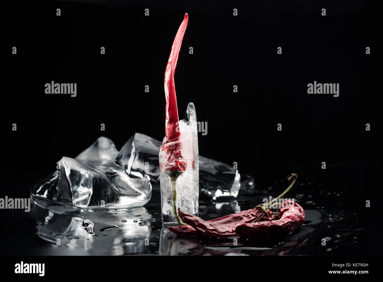 chili peppers in melting ice Stock Photo - Alamy