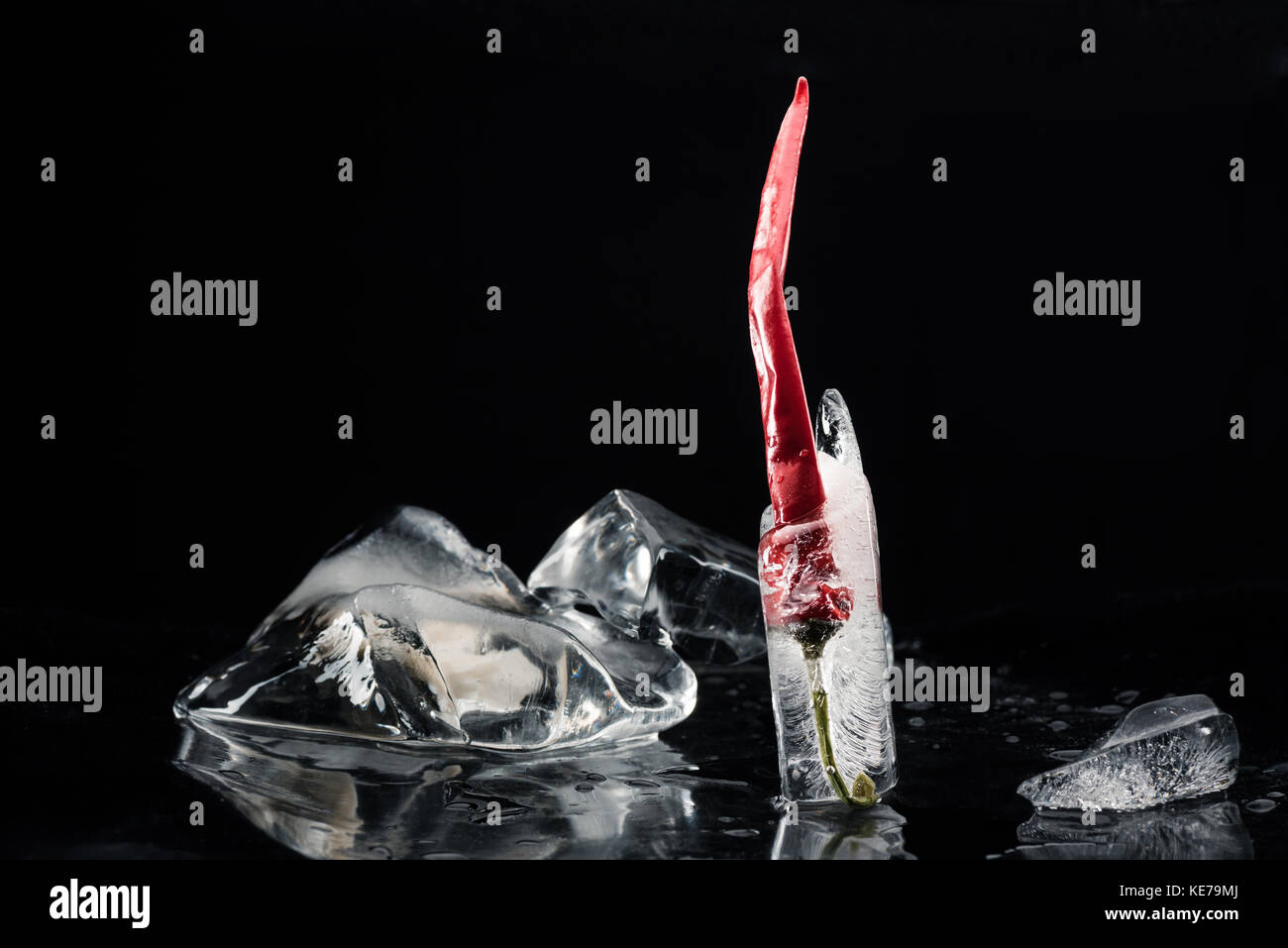 chili pepper in melting ice Stock Photo - Alamy