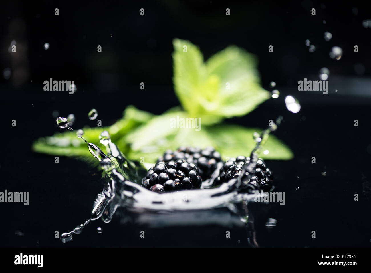 ripe blackberries falling in water Stock Photo - Alamy