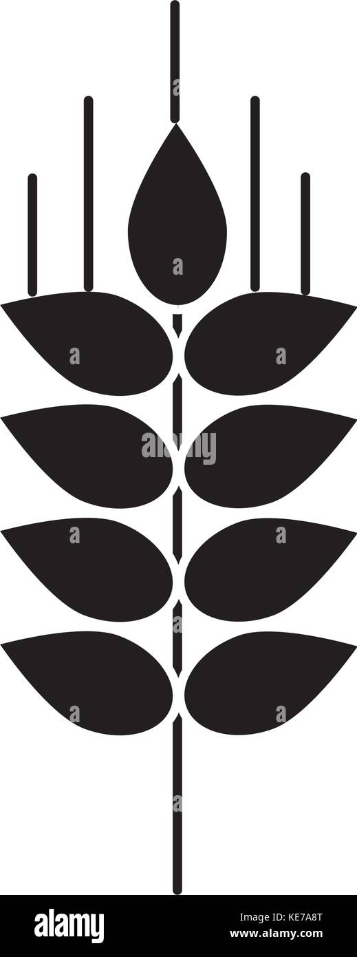 wheat sprig icon, vector illustration, black sign on isolated ...