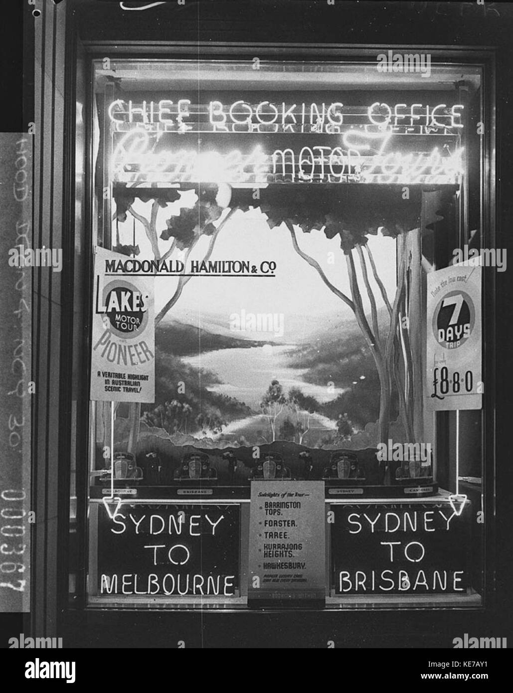 12076 Macdonald Hamilton Cos window display Pioneer Motor Tours ...