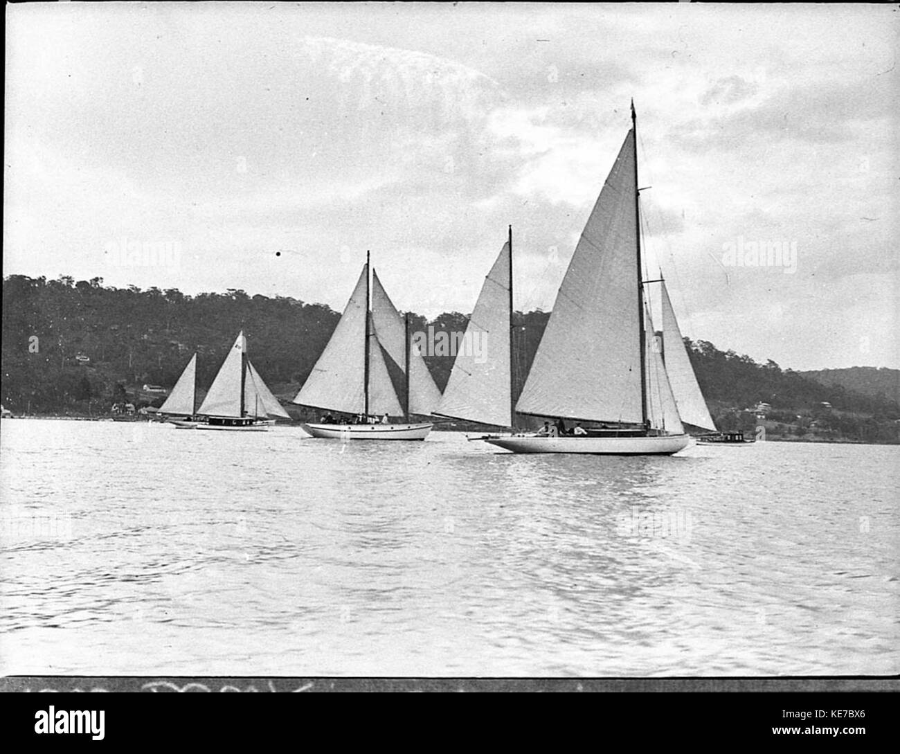 15617 Pittwater Regatta Stock Photo - Alamy