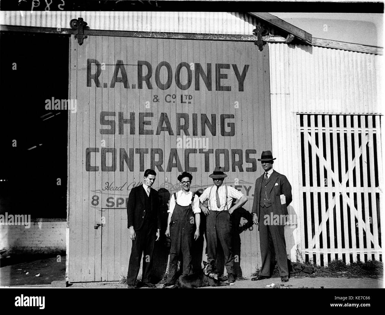 10264 RA Rooney shearing contractors head office Spring Street Sydney ...