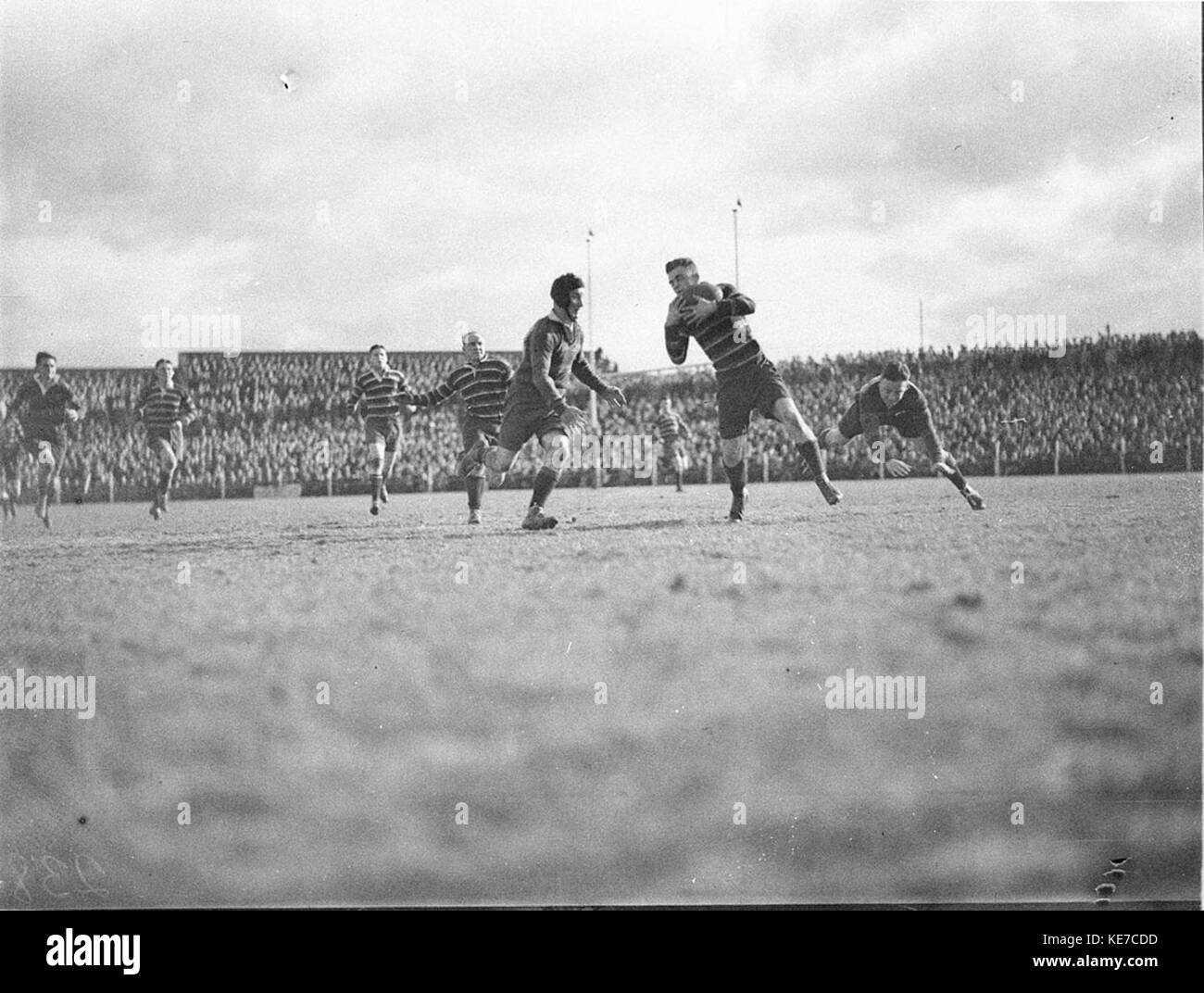 Queensland rugby league hi-res stock photography and images - Alamy