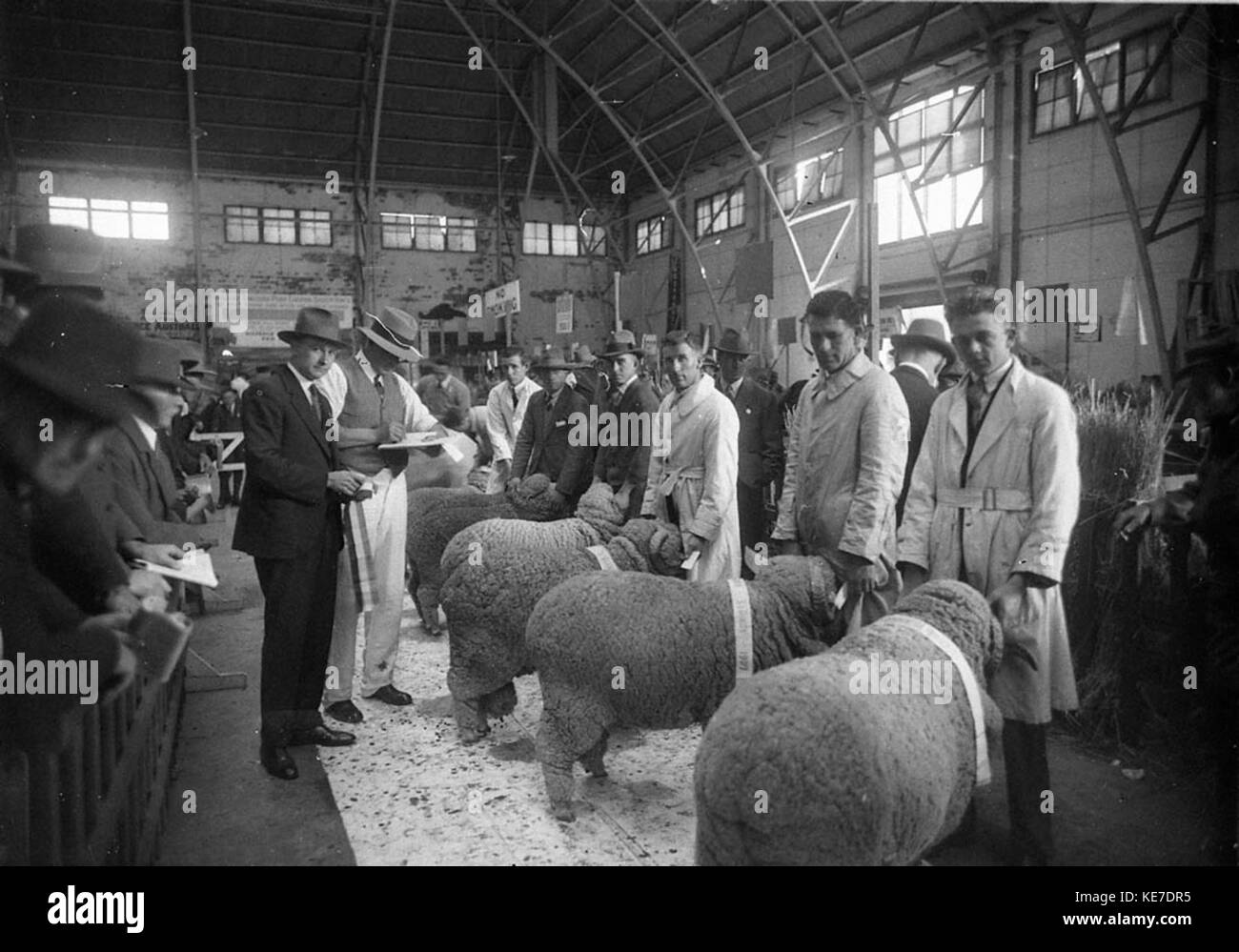 Ribbons awards Black and White Stock Photos & Images - Alamy