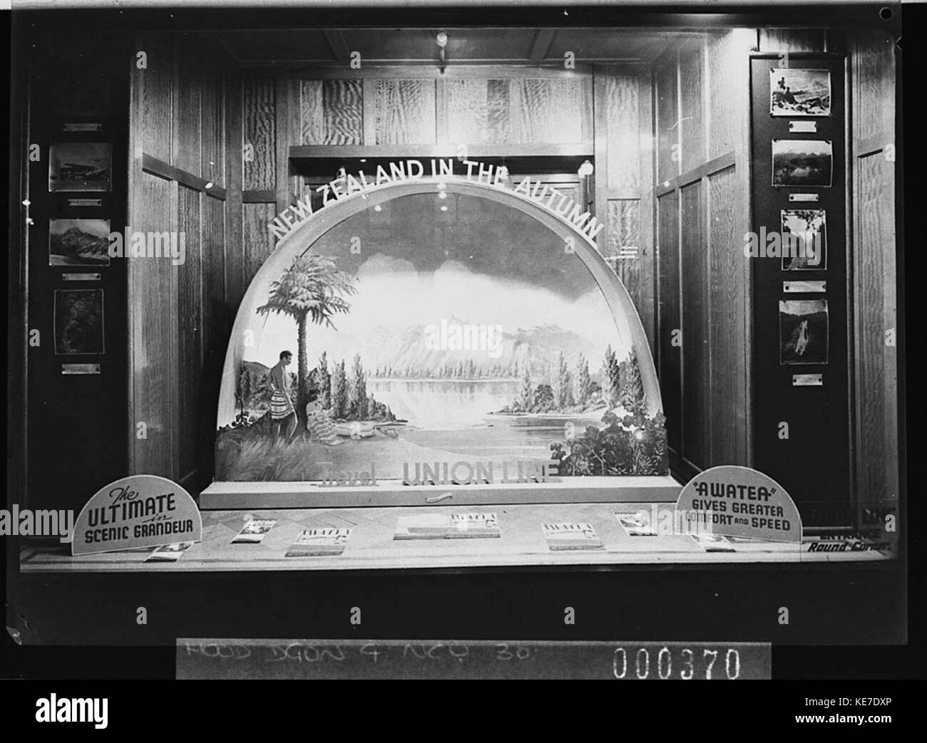 12079 Union Steamship line window display for New Zealand in Autumn ...