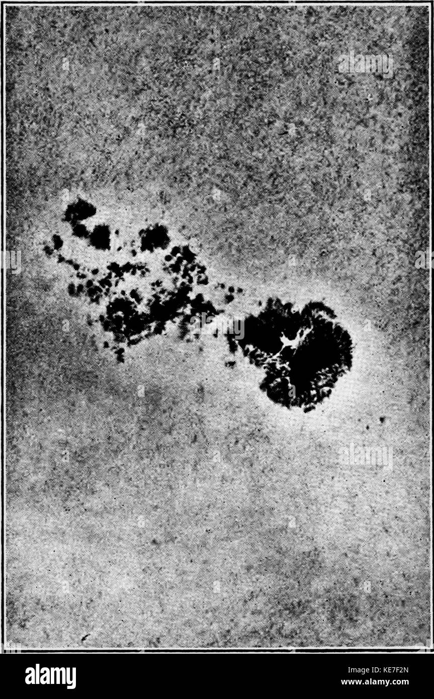 Complex visual representation of Black and White Stock Photos & Images ...