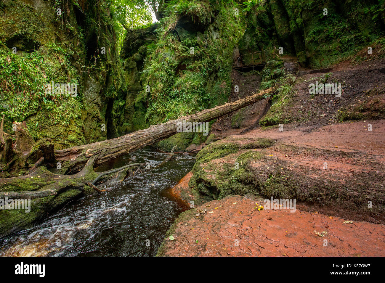 The devil pulpit finnich glen hi-res stock photography and images - Alamy