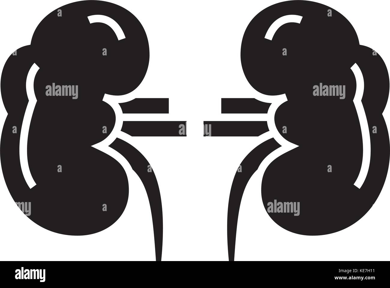 kidneys icon, vector illustration, black sign on isolated background ...