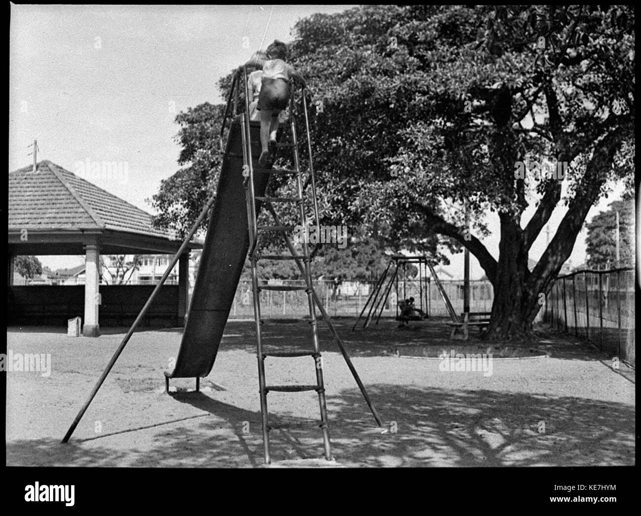 The playing area, identified by the number 31359, refers to a ...