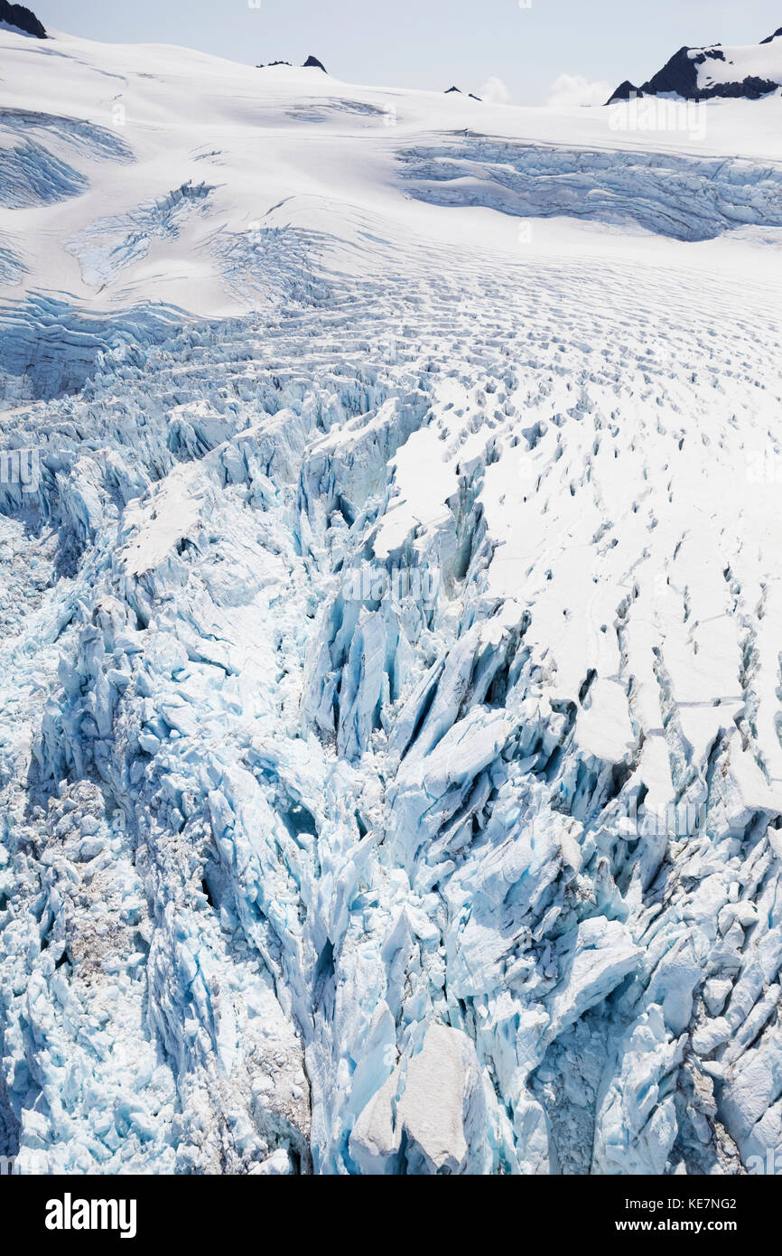 Bear Glacier, Harding Ice Field; Alaska, United States Of America Stock ...
