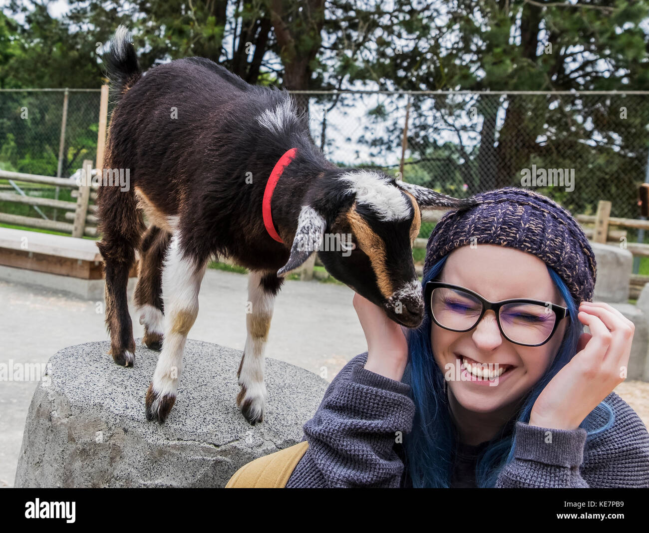 Young Woman Spends Time With A Curious Baby Goat At Beacon Hill ...