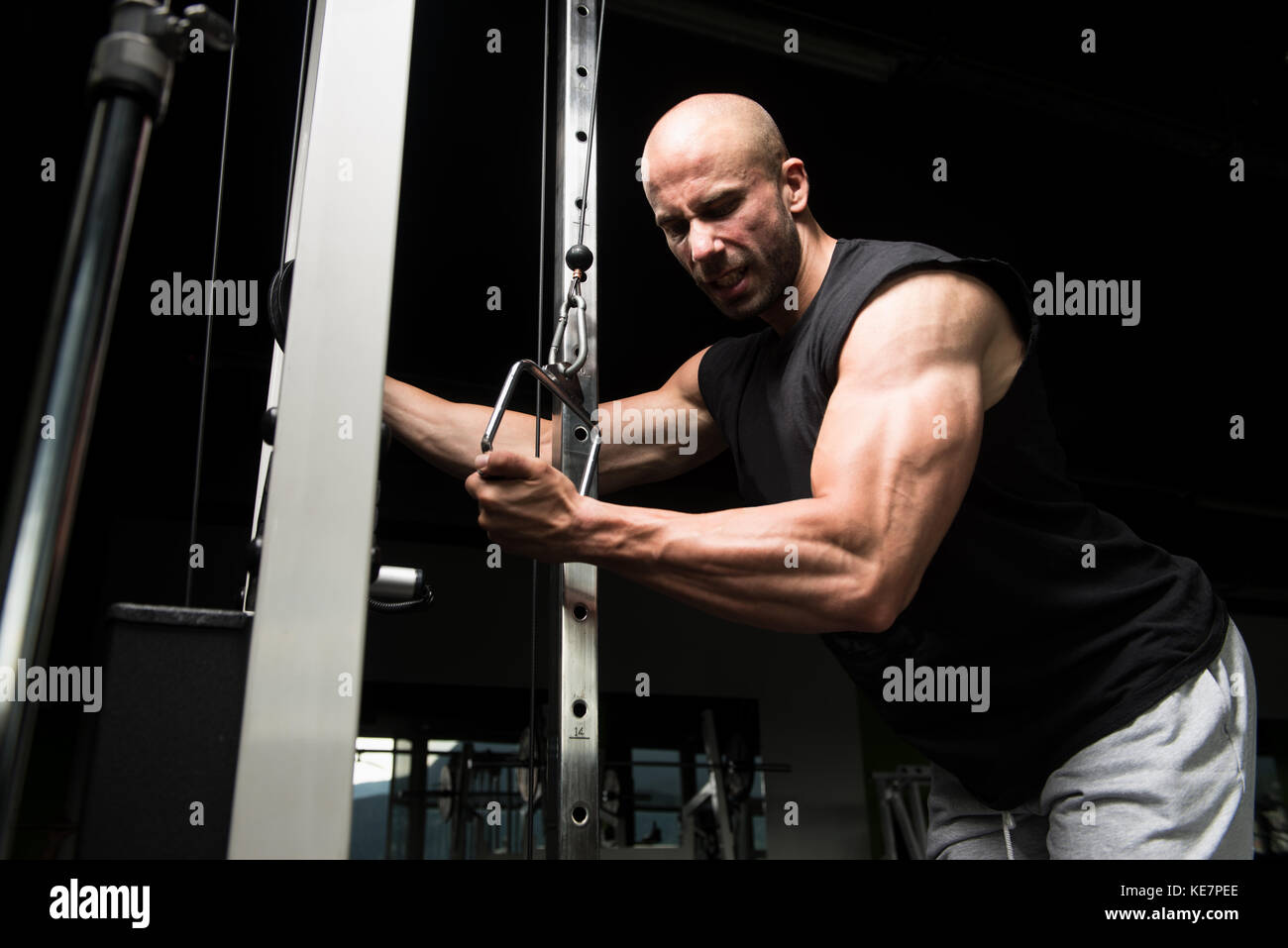 Biceps and triceps muscles hi-res stock photography and images - Alamy