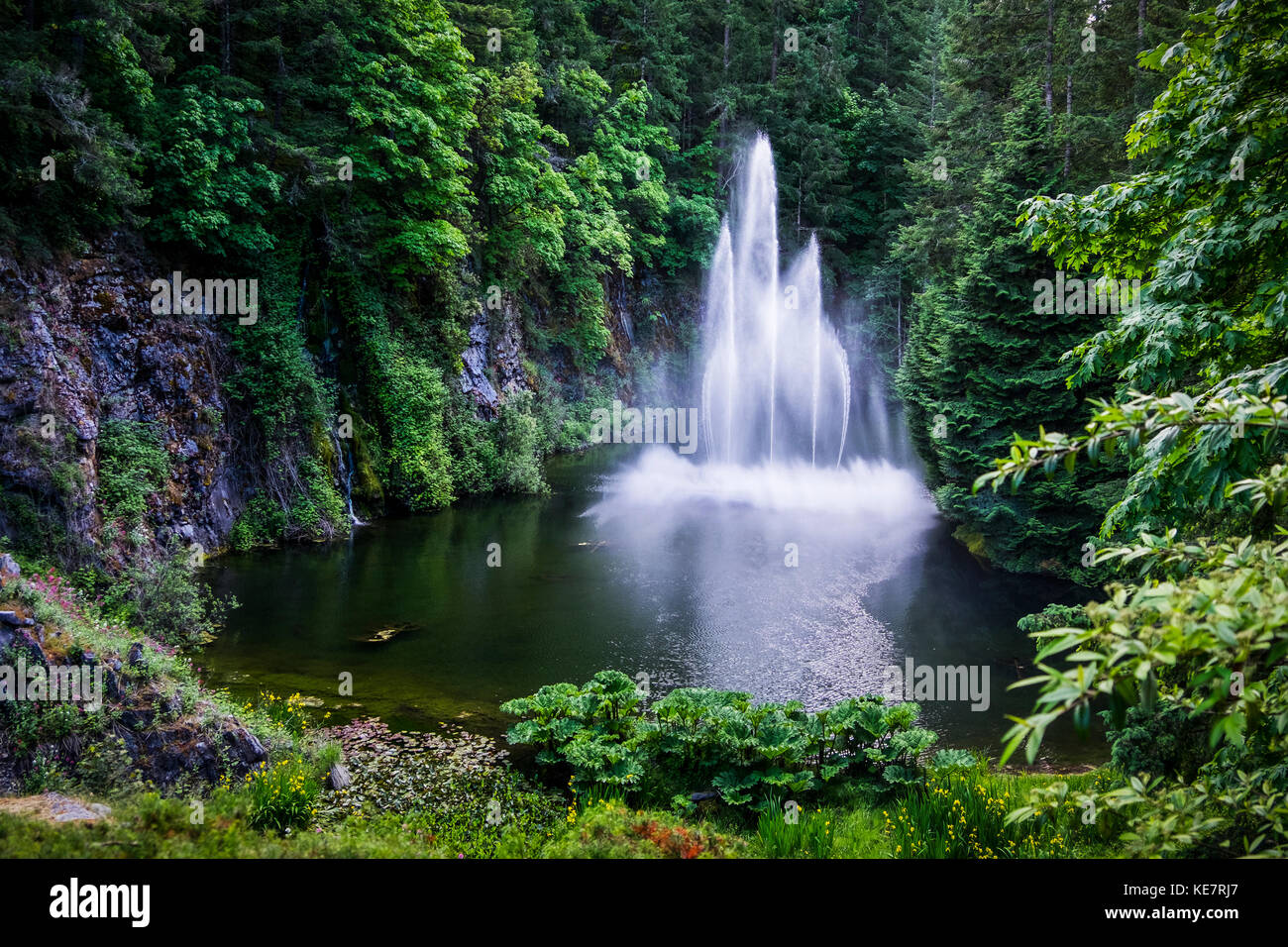 Ross Fountain At Butchart Gardens; Victoria, British Columbia, Canada ...