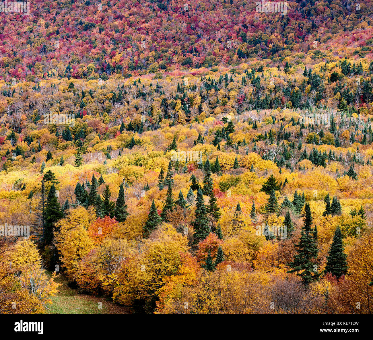 Autumn Dunham's Instagram, Twitter & Facebook on IDCrawl