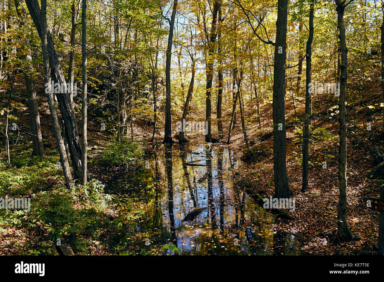 Ontario landscape hi-res stock photography and images - Alamy