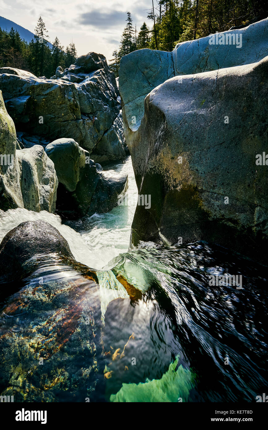 Vancouver island mountain forest hi-res stock photography and images ...