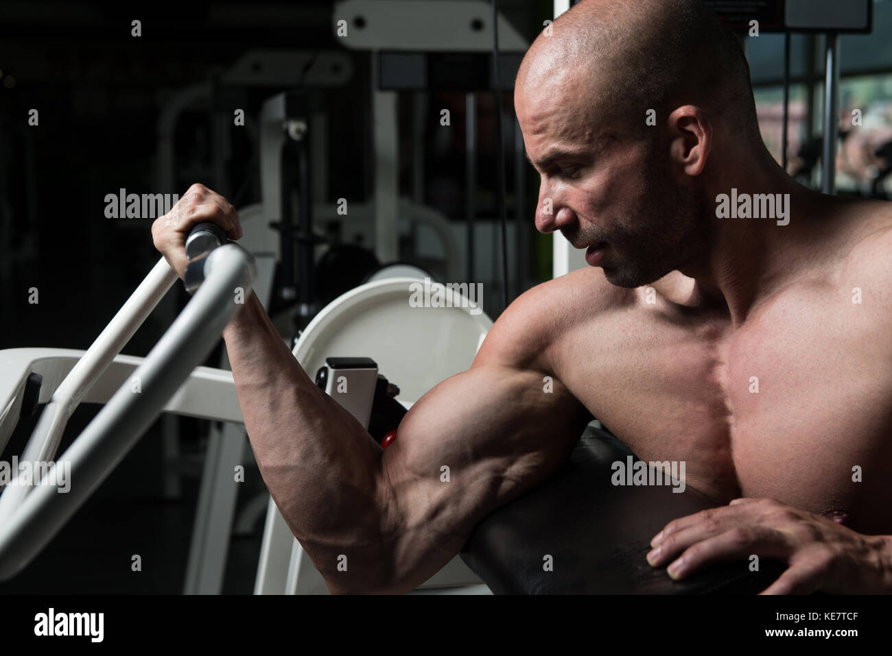 Biceps Workout For Men At Gym