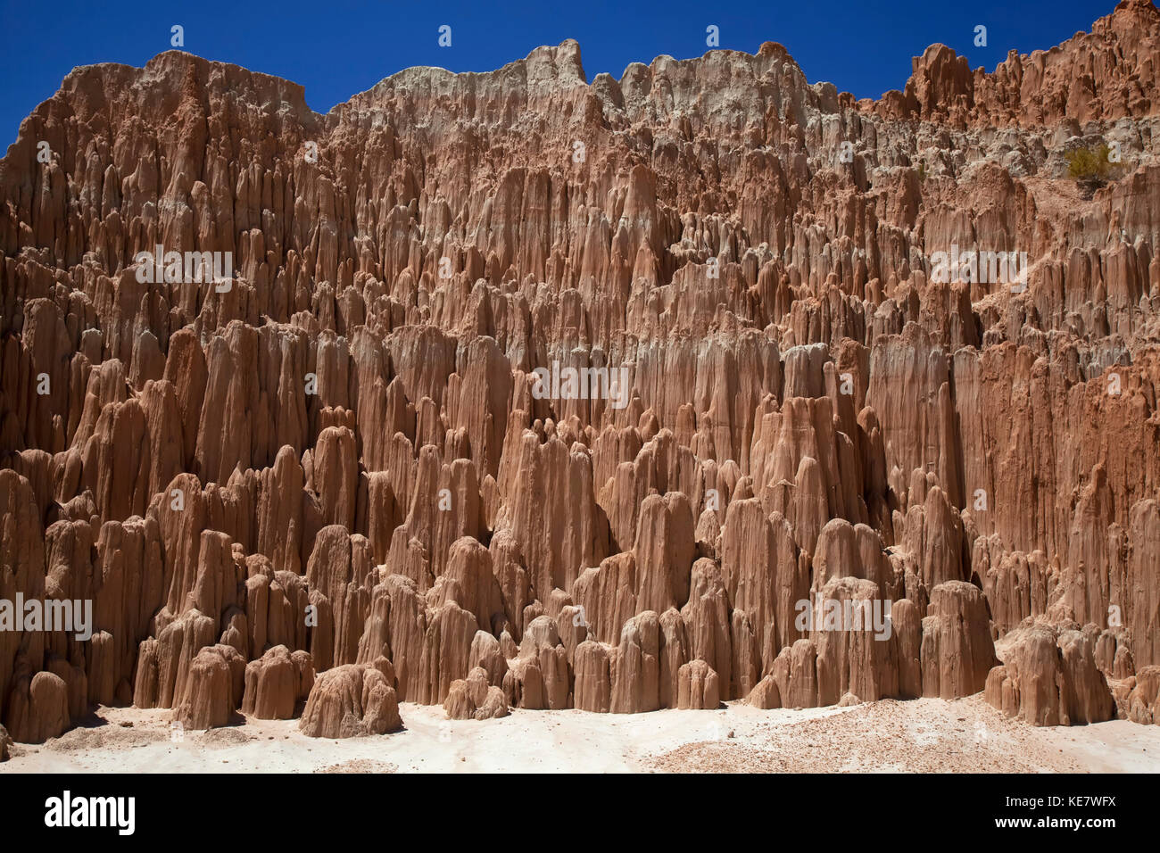 Organ Pipe-Like Geological Formation Within Cathedral Gorge State Park ...