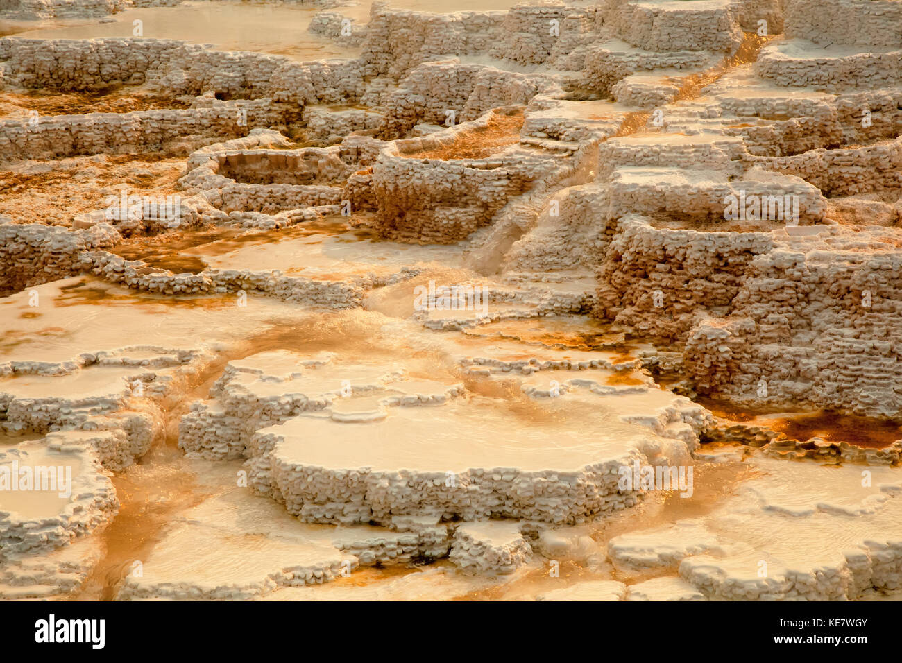 Terraces (Made From Crystallized Calcium Carbonate) Dominate The ...