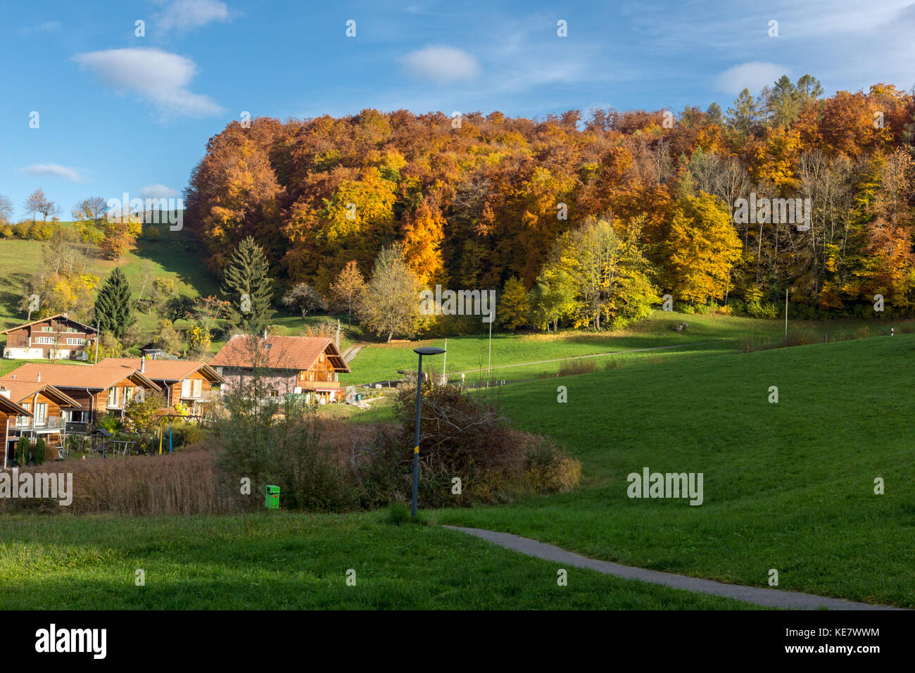 Autumn Landscape of Green meadows near town of Interlaken, canton of ...
