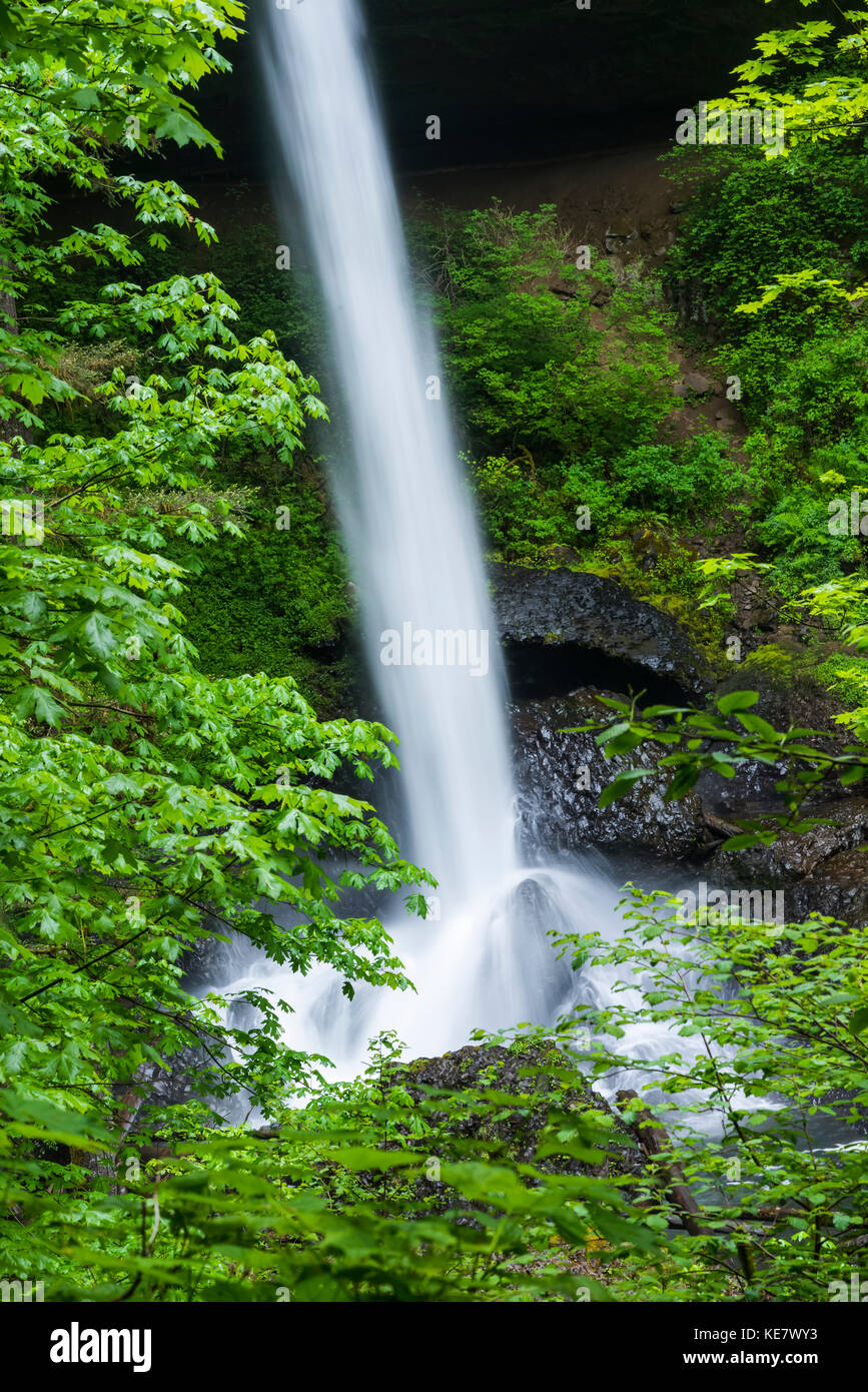 North Falls Plunges Into The Canyon At Silver Falls State Park; Oregon ...