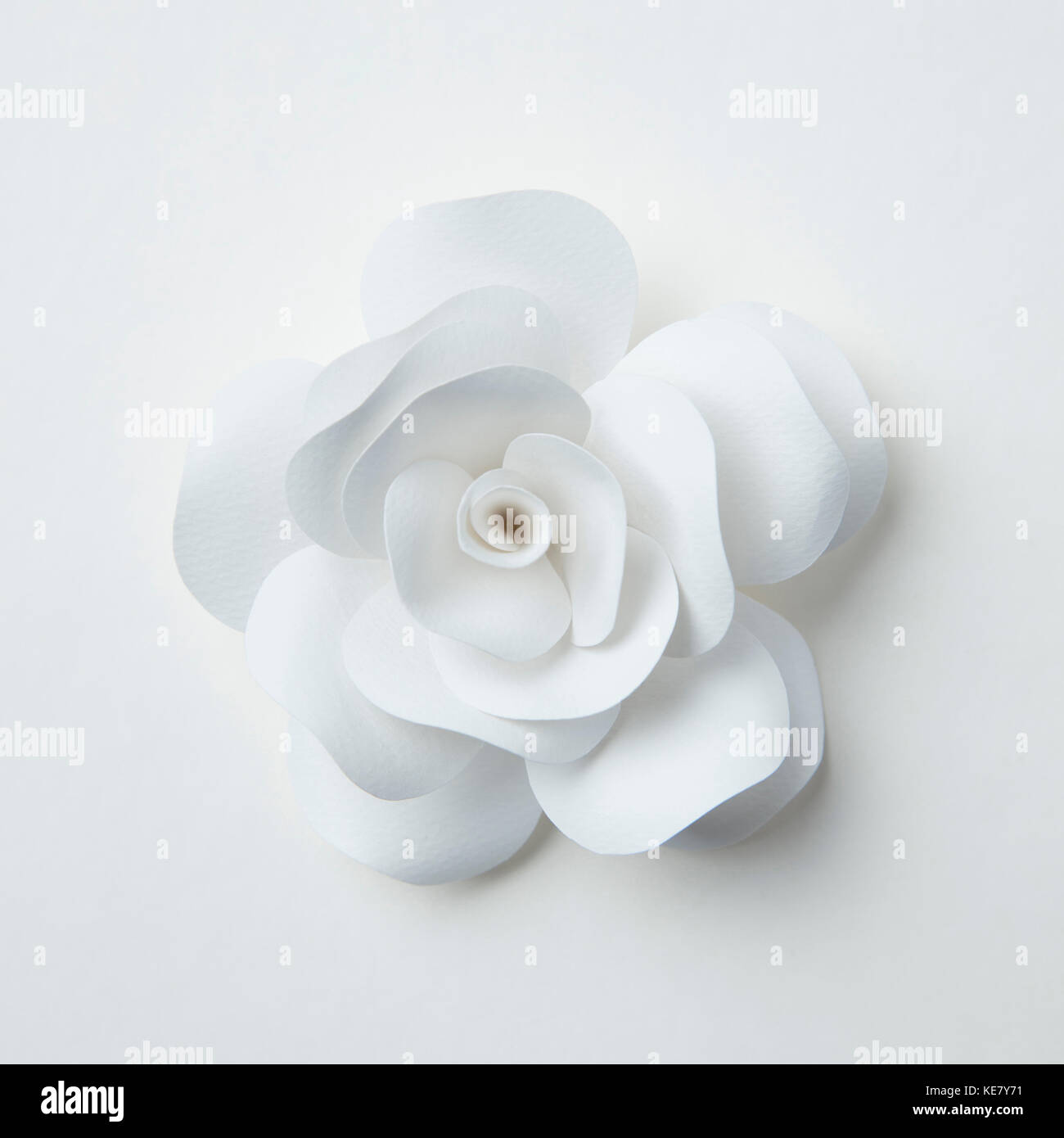 Rose paper flower hi-res stock photography and images - Alamy