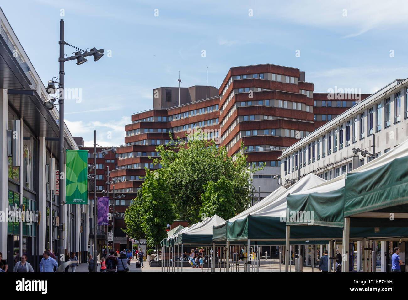 Moorfoot hi-res stock photography and images - Alamy