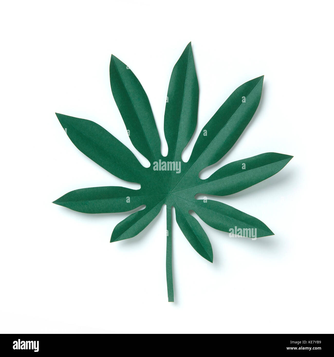 One green leaf, paper art Stock Photo - Alamy