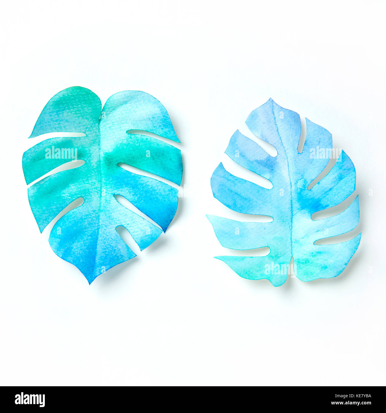 Two blue leaves, paper art Stock Photo - Alamy
