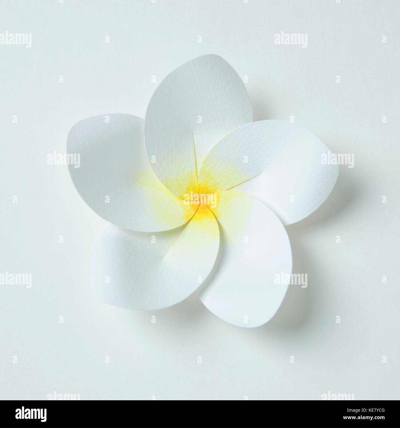 One flower, paper art Stock Photo - Alamy