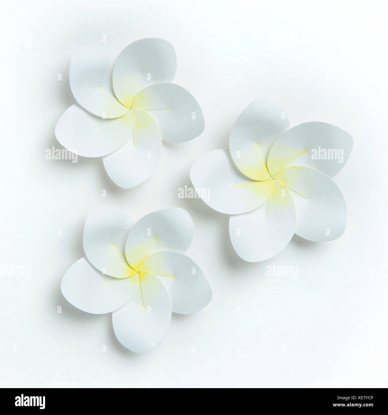 Flower art and craft hi-res stock photography and images - Alamy