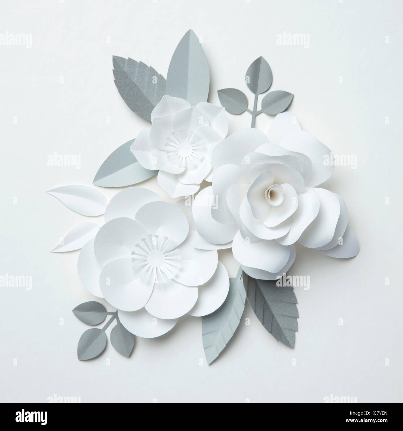 Paper flowers and leaves Stock Photo - Alamy