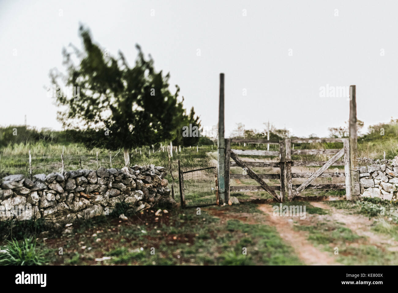 Countryside and closed gate hi-res stock photography and images - Alamy