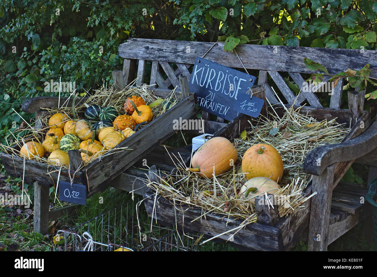 German bench hi-res stock photography and images - Alamy