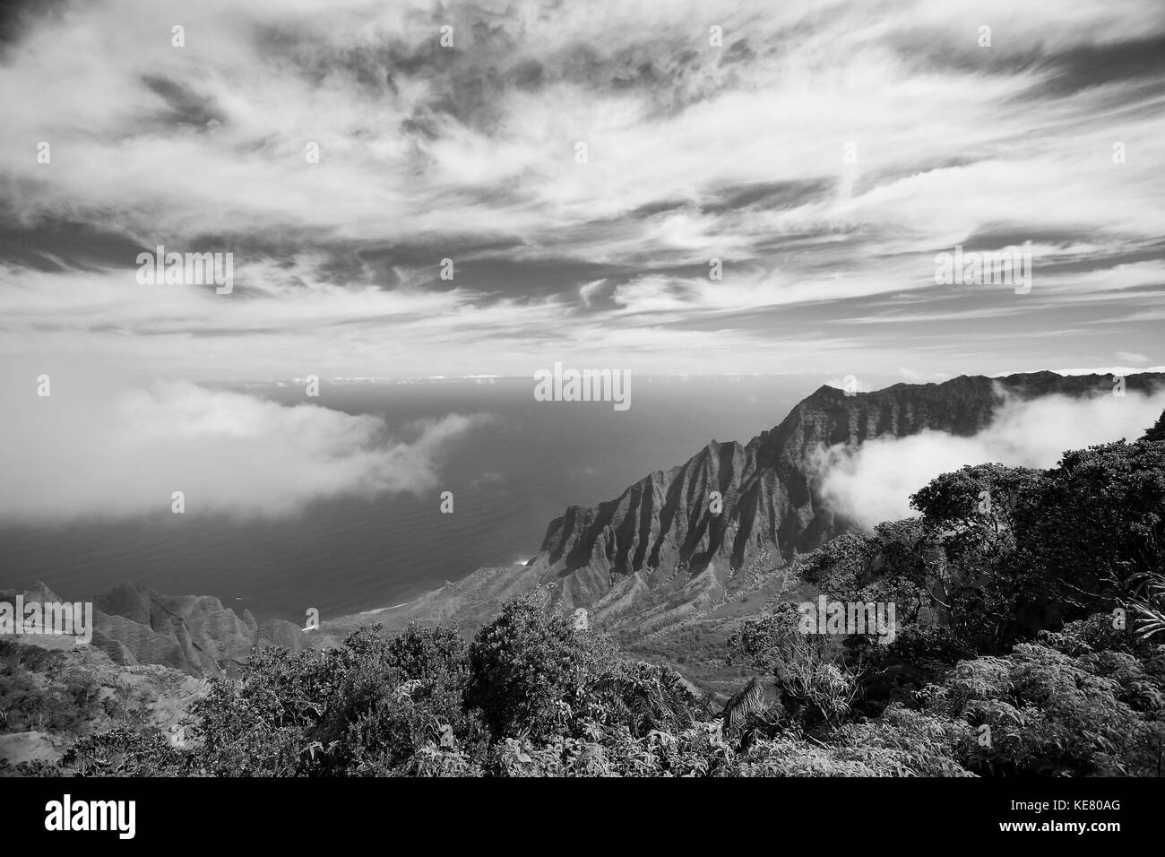 Black and white image of Kokee-Kalalau Lookout; Kapaa, Kauai, Hawaii ...