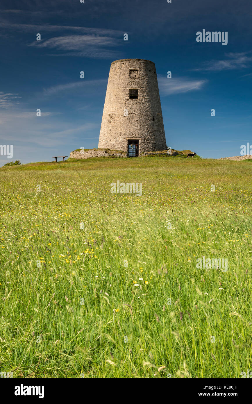 Disused windmill in a grass field; Cleadon, Tyne and Wear, England ...