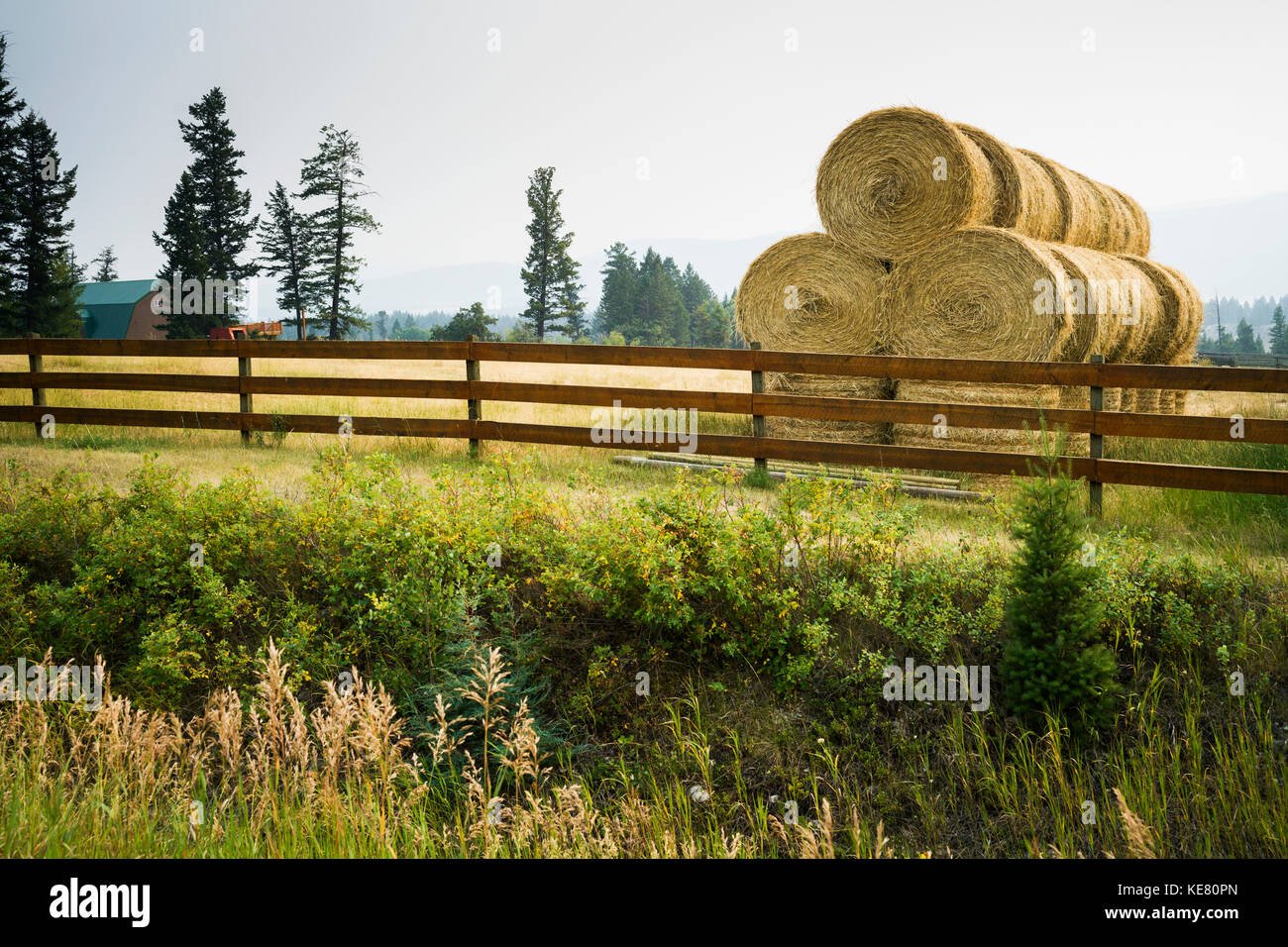 Large hay bales hi-res stock photography and images - Alamy