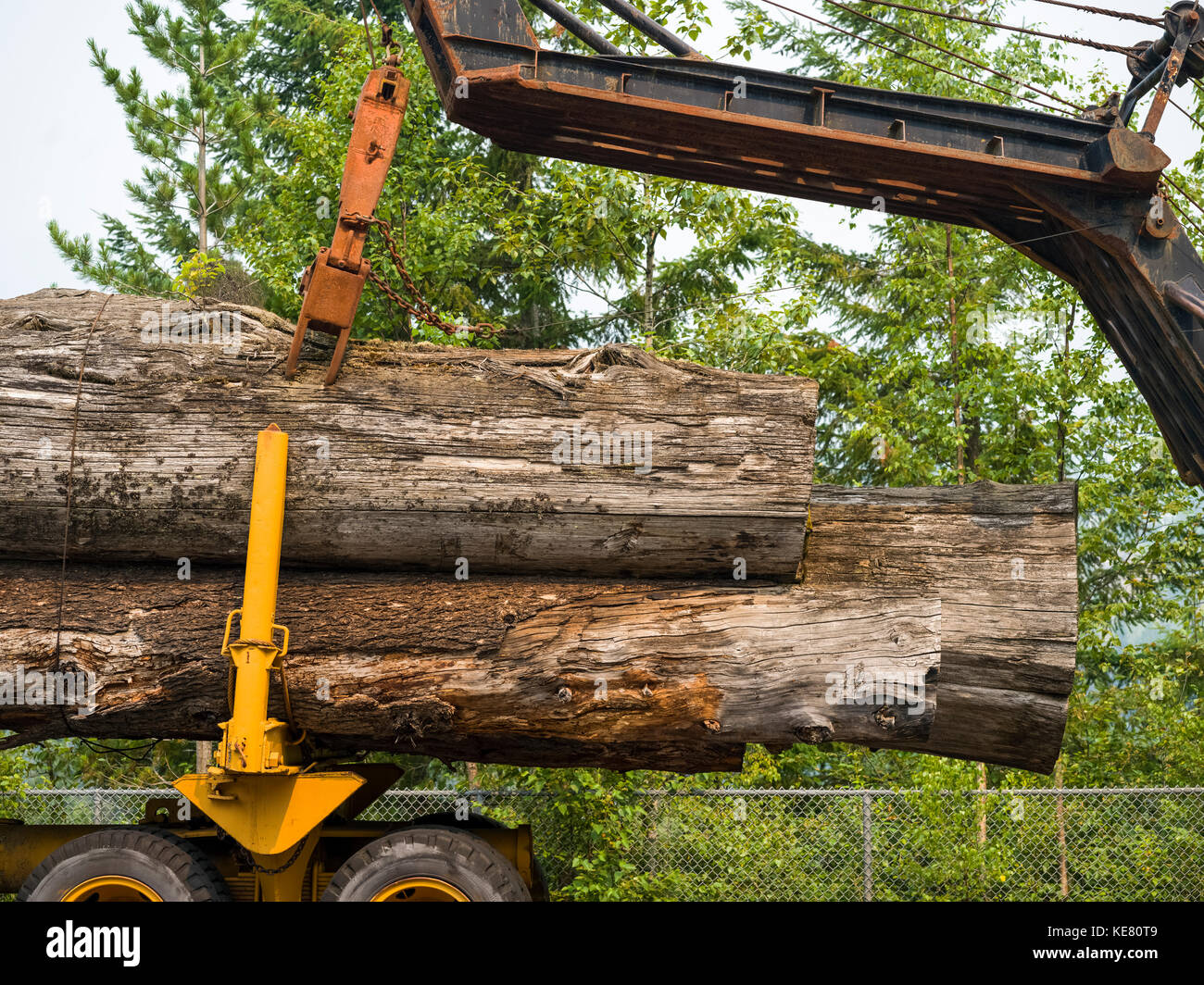 Logging industry canada logs hi-res stock photography and images - Alamy